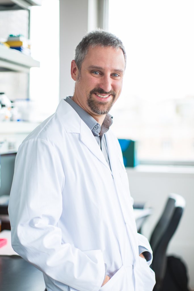 Diabète de type 2: lumière sur les mécanismes cellulaires de la ...